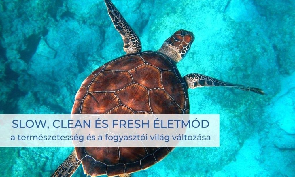 Slow clean és fresh életmód - Oxygeni Hair & Skin
